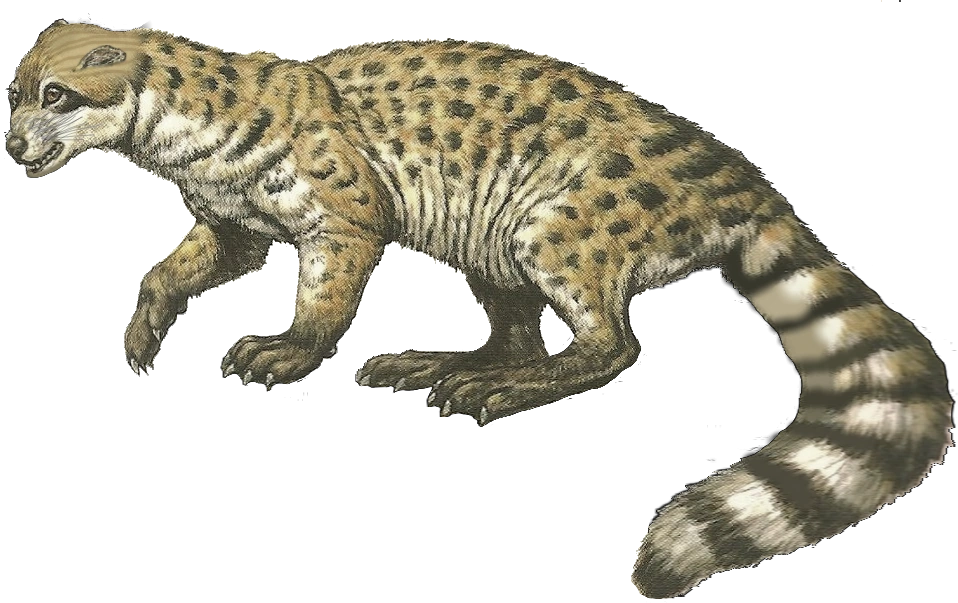 Marine tiger | SciiFii Wiki | Fandom