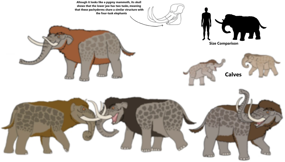 Baku mammoth | SciiFii Wiki | Fandom