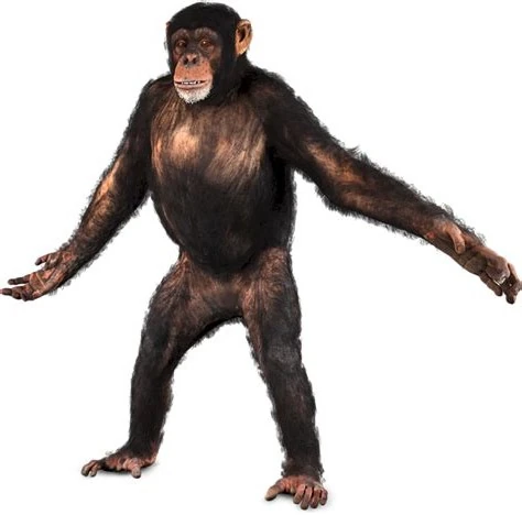 Pan sapiens | SciiFii Wiki | Fandom