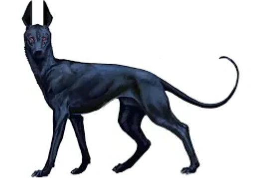 Salawa | SciiFii Wiki | Fandom