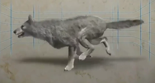 Edward's wolf | SciiFii Wiki | Fandom