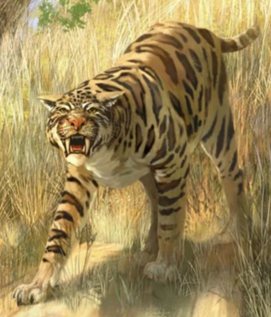 Nimravus | SciiFii Wiki | Fandom