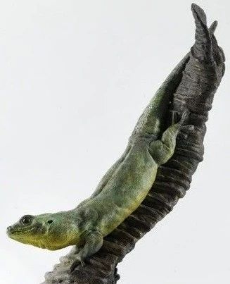 Rodrigues giant day gecko | SciiFii Wiki | Fandom