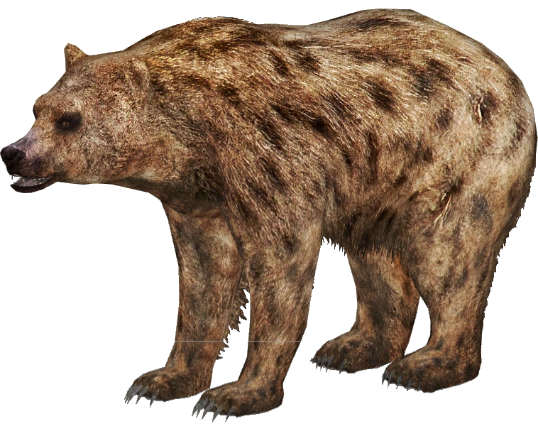 Spotted bear | SciiFii Wiki | Fandom