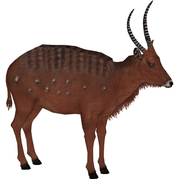 Cleft-backed antelope | SciiFii Wiki | Fandom