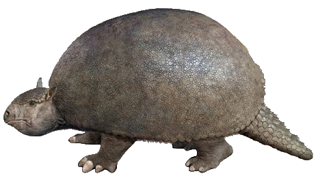 Glyptodon | SciiFii Wiki | Fandom