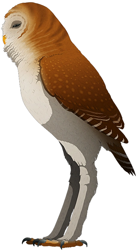 Chickcharney | SciiFii Wiki | Fandom