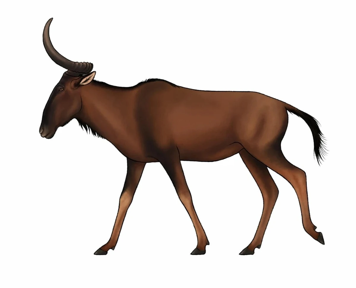 Megalotragus | SciiFii Wiki | Fandom