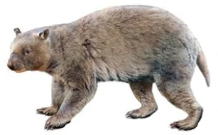 Mukupirna | SciiFii Wiki | Fandom