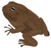 Doctor frog | SciiFii Wiki | Fandom