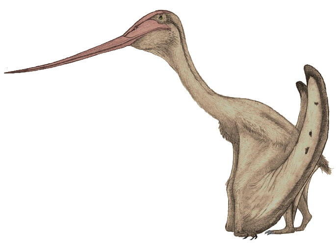 Leptostomia | SciiFii Wiki | Fandom