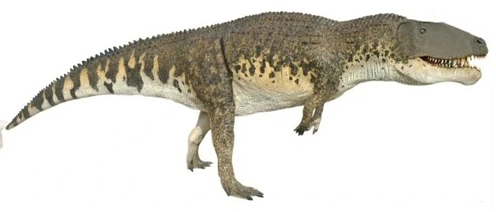Postosuchus | SciiFii Wiki | Fandom