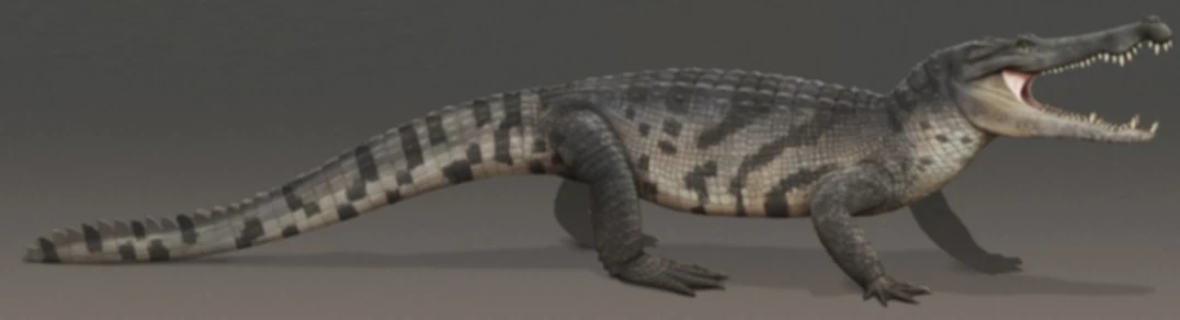 Borealosuchus | SciiFii Wiki | Fandom