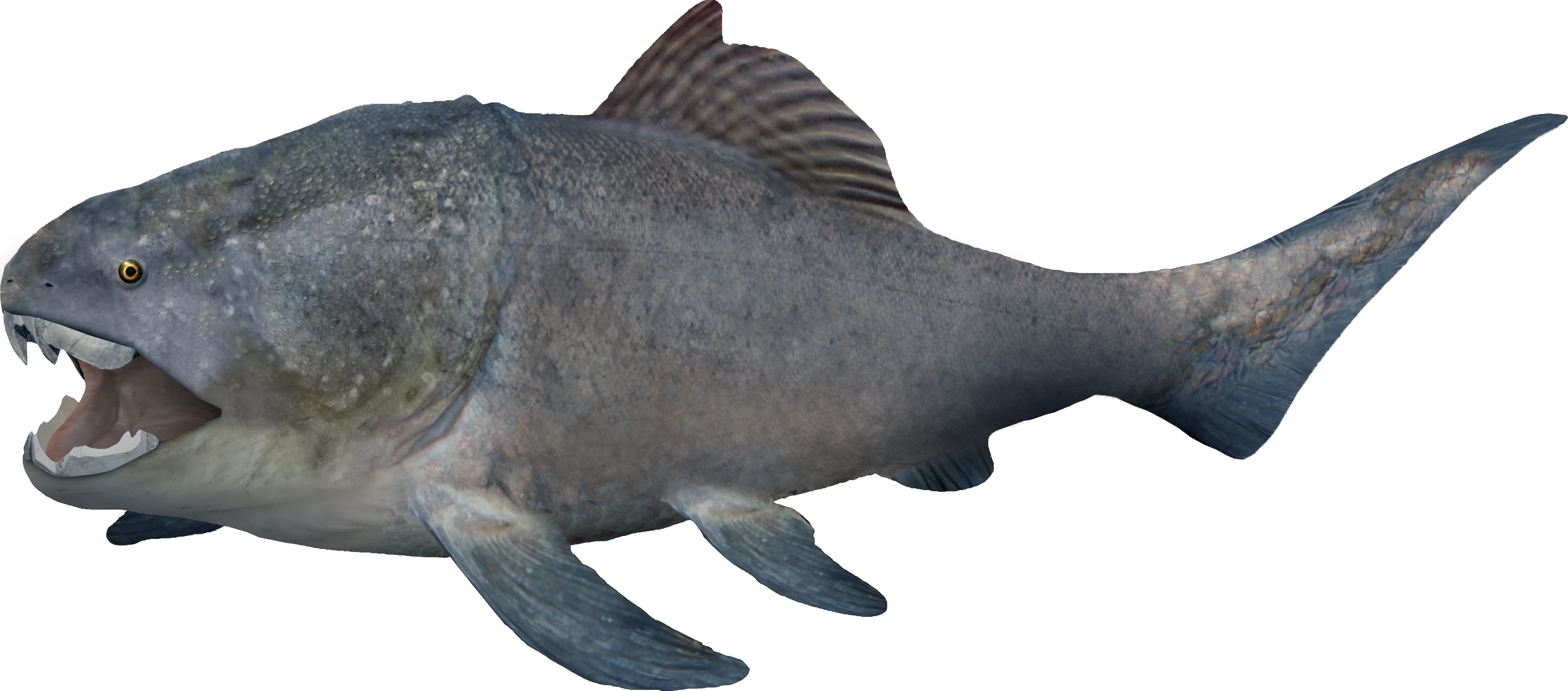 Are Placoderms Extinct