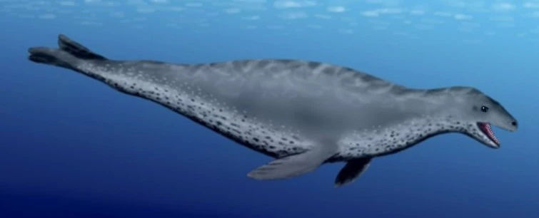 Acrophoca | SciiFii Wiki | Fandom