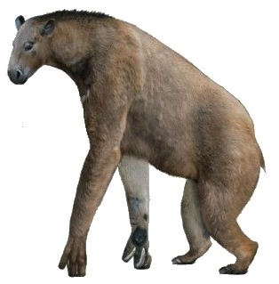 Anisodon | SciiFii Wiki | Fandom