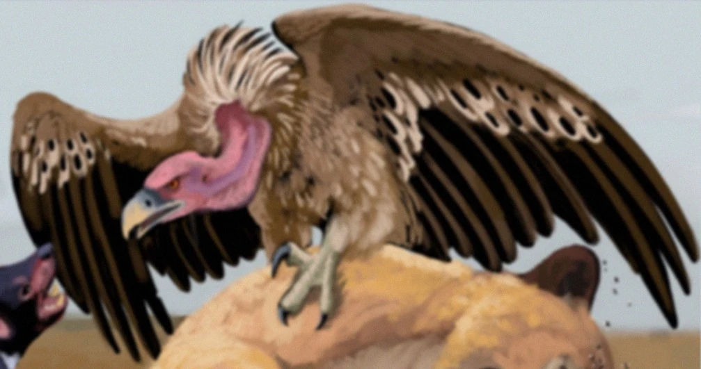 Cryptogyps | SciiFii Wiki | Fandom