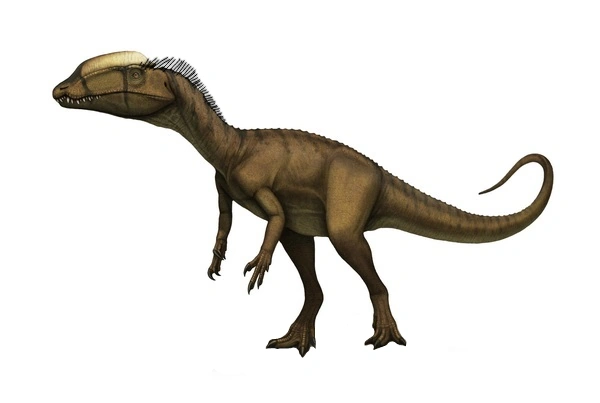 Liliensternus | SciiFii Wiki | Fandom