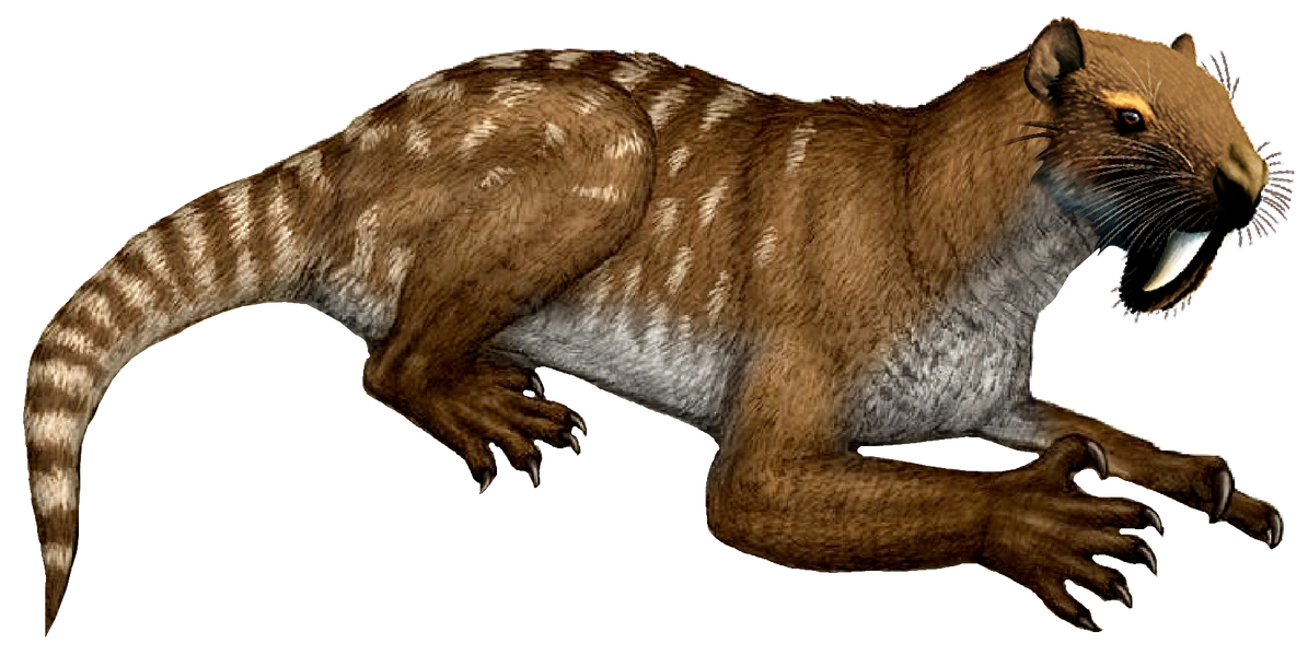 Megadontofelis | SciiFii Wiki | Fandom