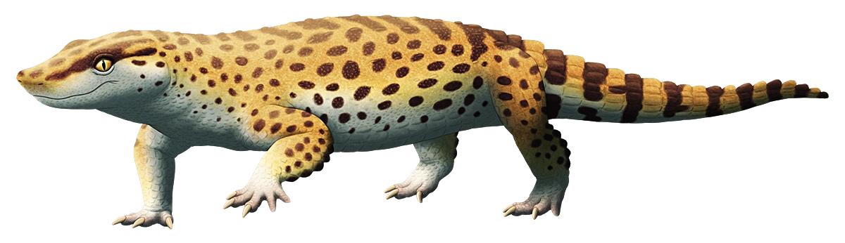 Pakasuchus | SciiFii Wiki | Fandom