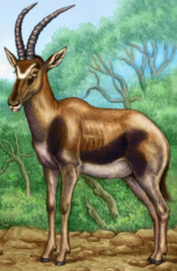 Damalops | SciiFii Wiki | Fandom