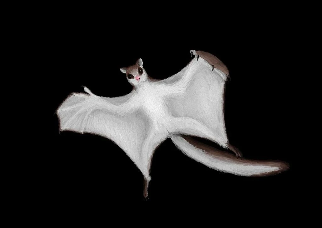 Volaticotherium | SciiFii Wiki | Fandom