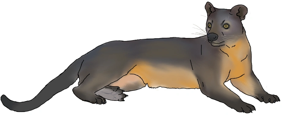 Giant fossa | SciiFii Wiki | Fandom