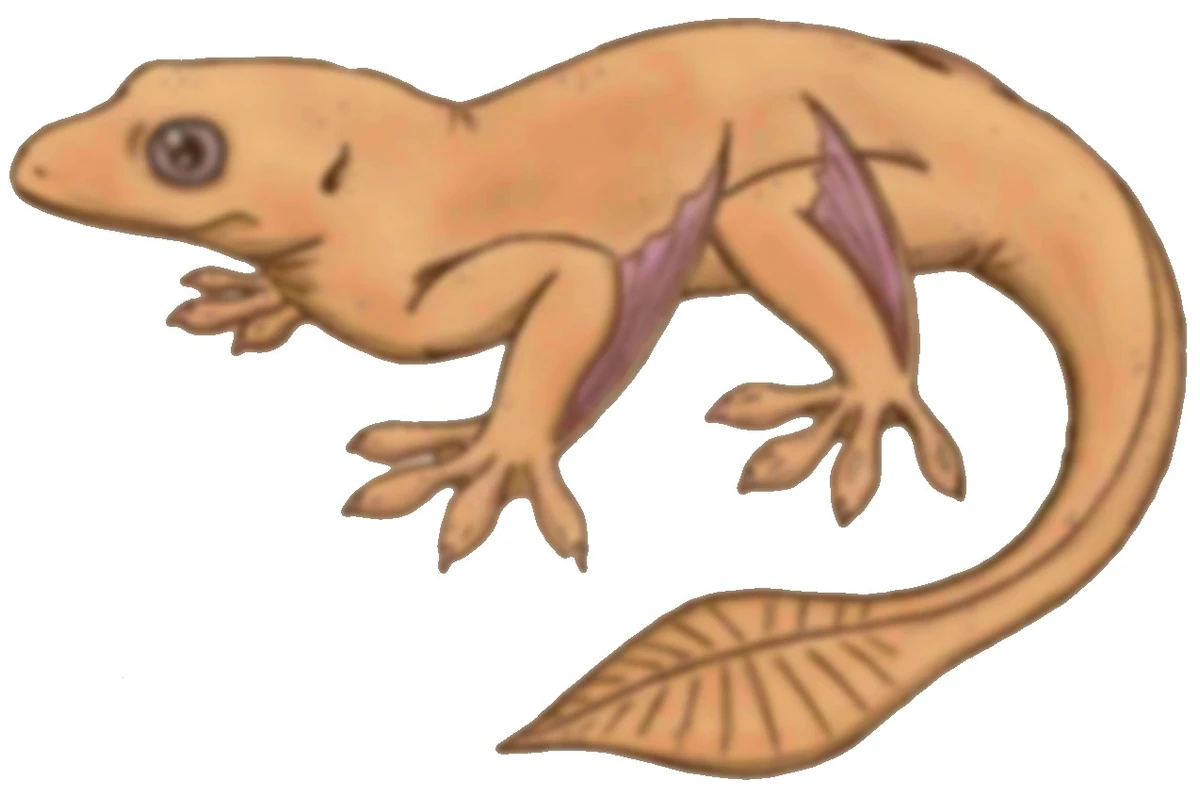 Paddletail | SciiFii Wiki | Fandom