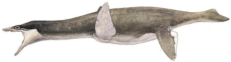 Leptocleidus | SciiFii Wiki | Fandom