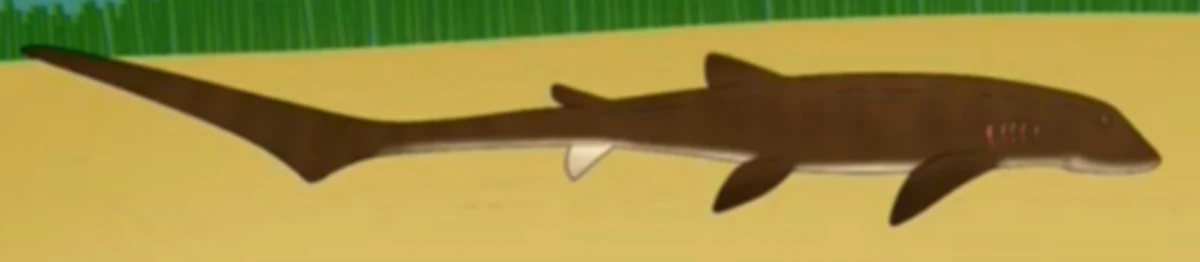 Brazilian rock shark | SciiFii Wiki | Fandom