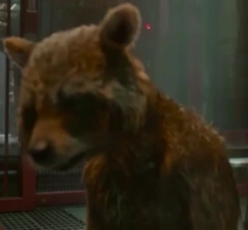 Raccoonfolk | SciiFii Wiki | Fandom