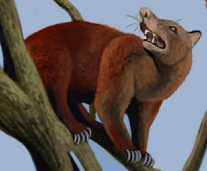 Sivanasua | SciiFii Wiki | Fandom