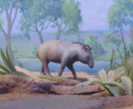 Protapirus | SciiFii Wiki | Fandom