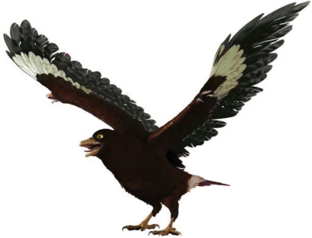 Avisaurus | SciiFii Wiki | Fandom