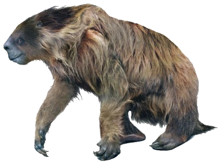 Megalonyx | SciiFii Wiki | Fandom