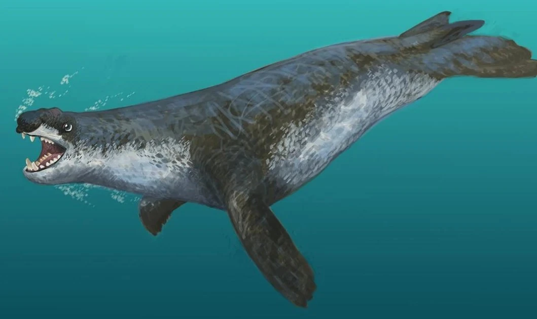 Allodesmus | SciiFii Wiki | Fandom