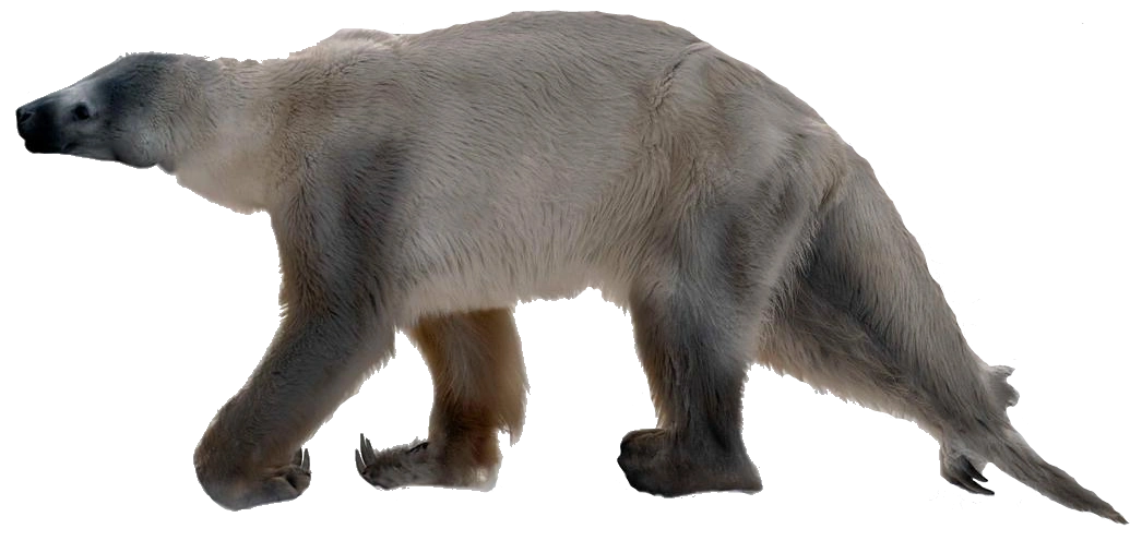 Nothrotheriops | SciiFii Wiki | Fandom