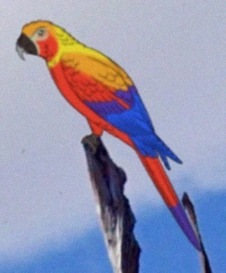 Sunset macaw | SciiFii Wiki | Fandom