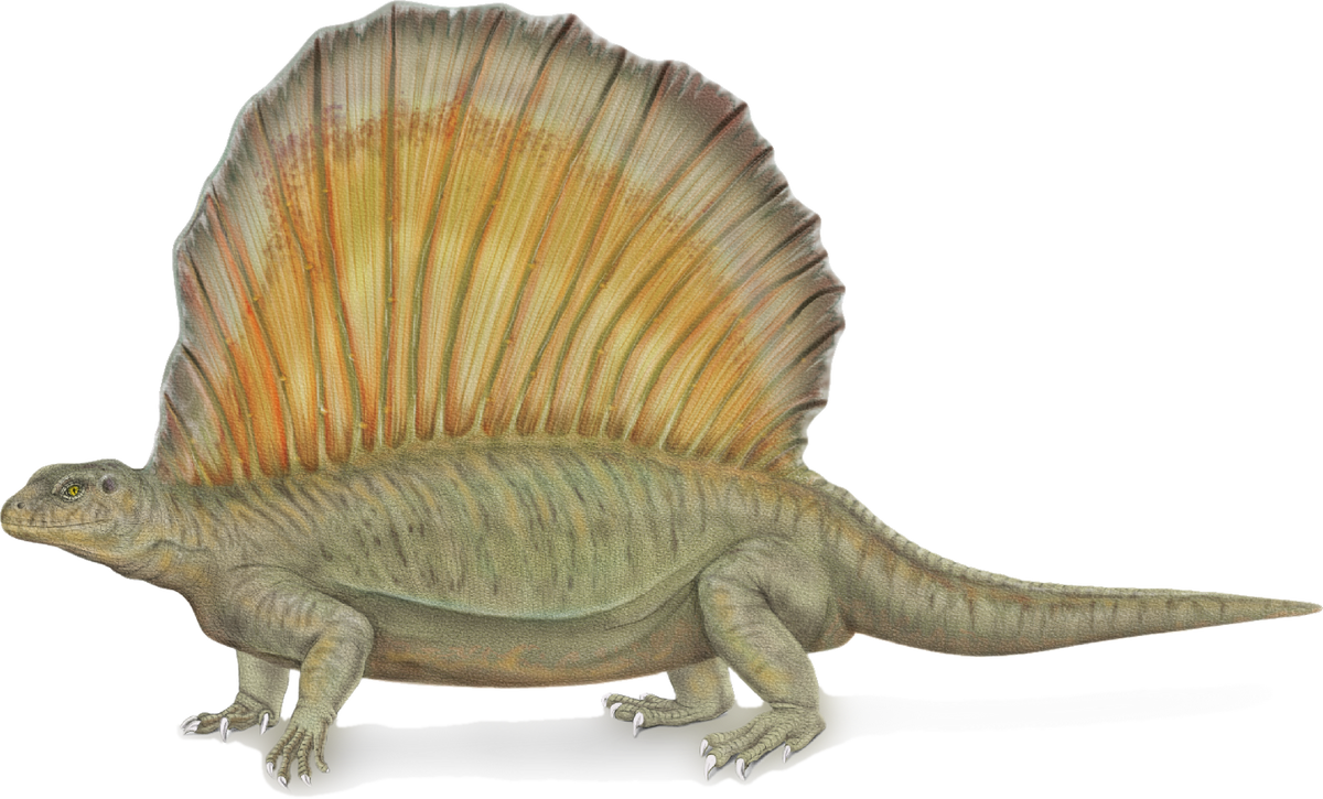 Edaphosaurus | SciiFii Wiki | Fandom