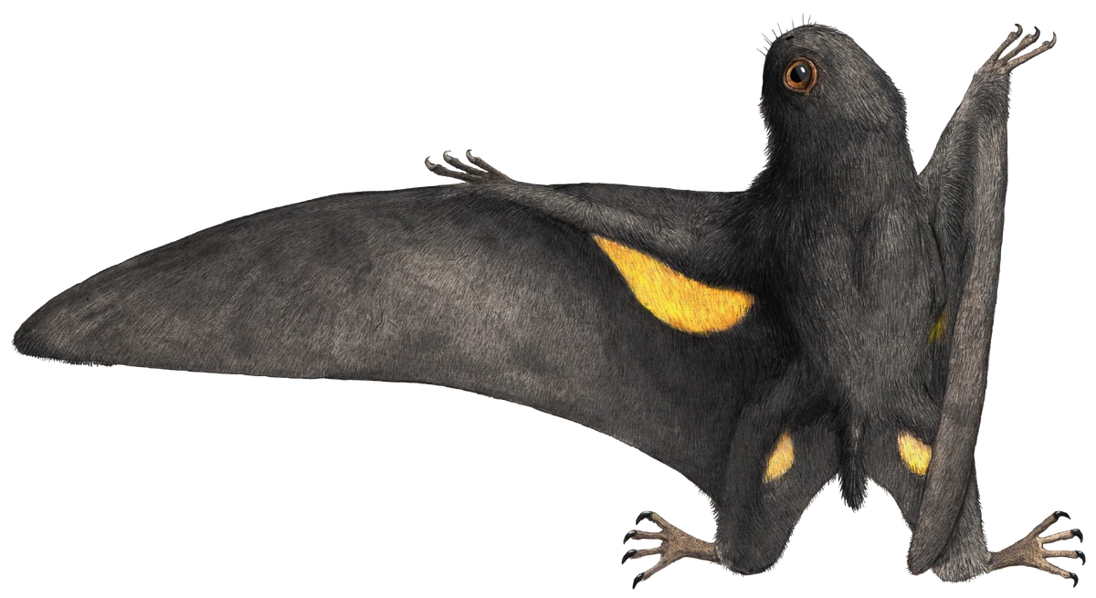 Batrachognathus | SciiFii Wiki | Fandom