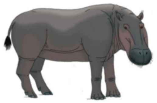 Gracile hippopotamus | SciiFii Wiki | Fandom