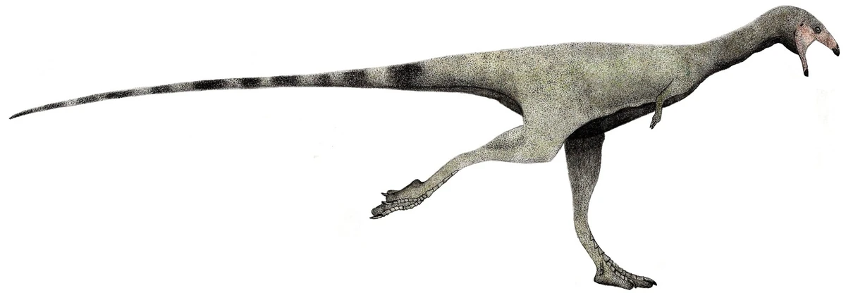 Limusaurus | SciiFii Wiki | Fandom