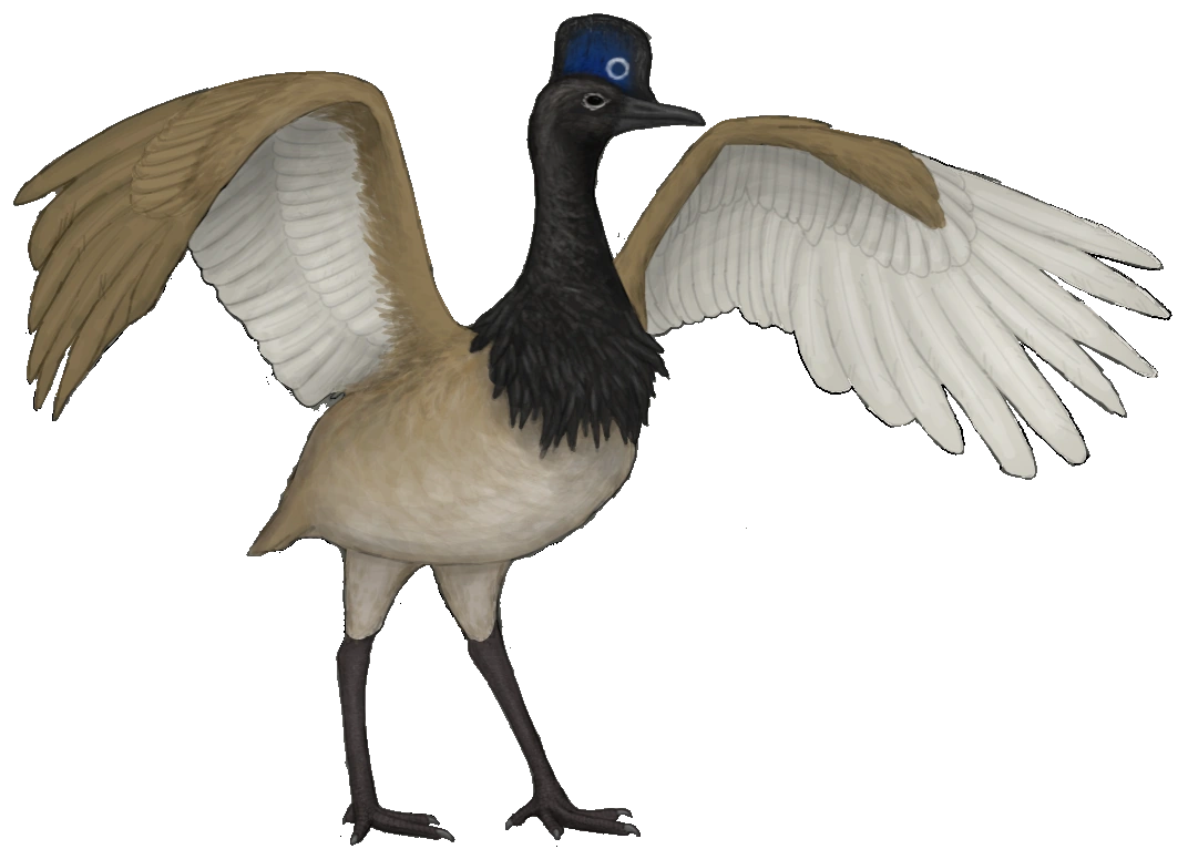 Blue-crested bustard | SciiFii Wiki | Fandom