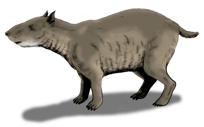 Merycochoerus | SciiFii Wiki | Fandom