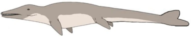 Gambo | SciiFii Wiki | Fandom