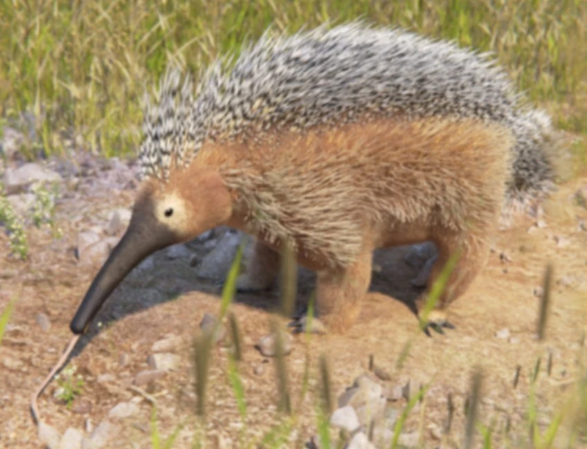Crested echidna | SciiFii Wiki | Fandom