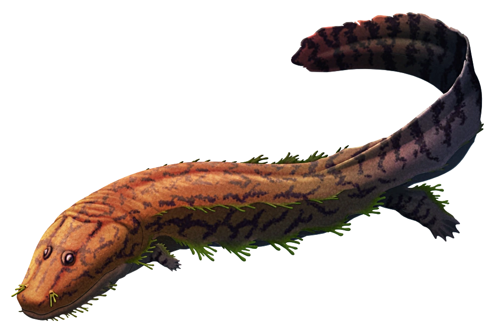 Crassigyrinus | SciiFii Wiki | Fandom