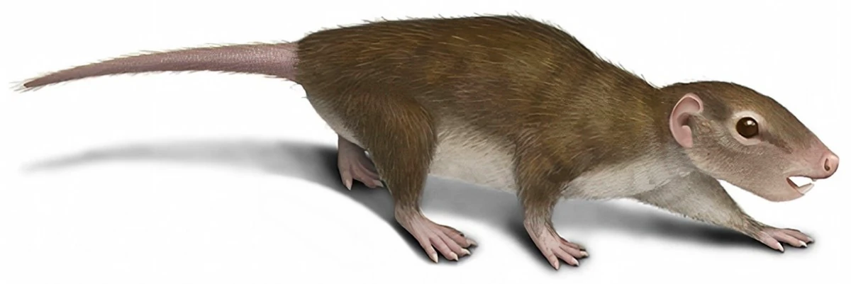 Barbatodon | SciiFii Wiki | Fandom