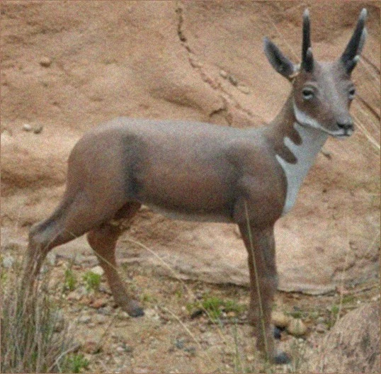 Capromeryx | SciiFii Wiki | Fandom