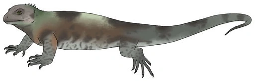 Ankylosphenodon | SciiFii Wiki | Fandom